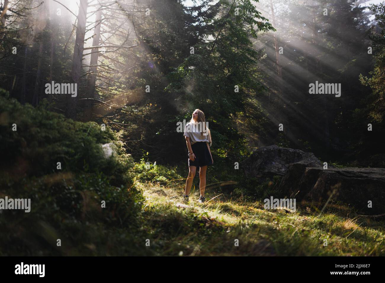 Side view of female walking on forest with bright sun rays penetrating ...