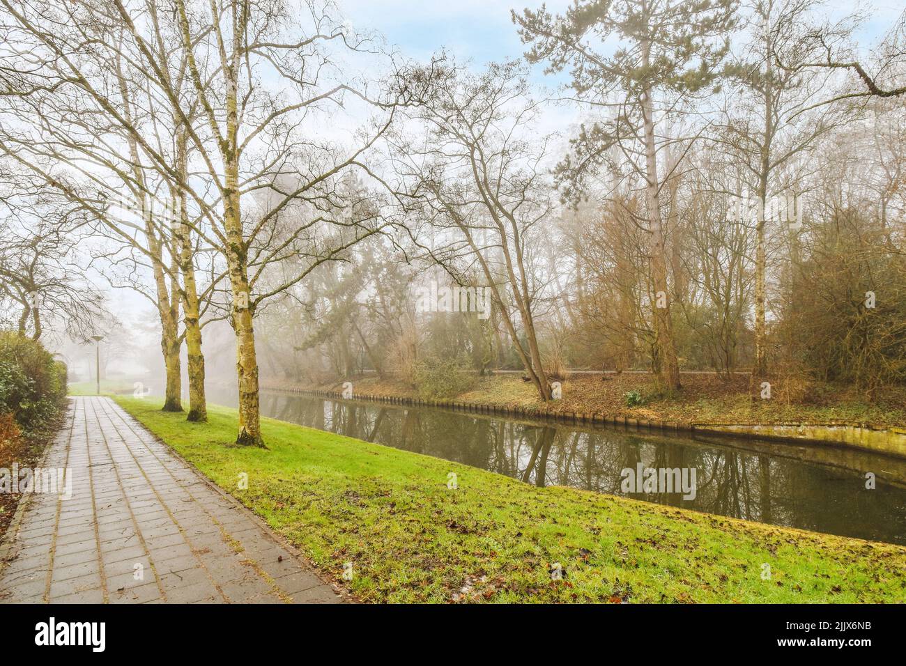 Water channel next to some trees on a day with thick fog Stock Photo ...