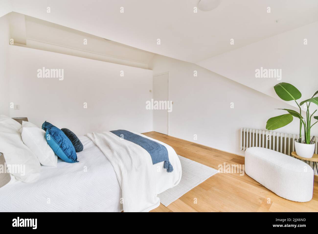 Comfortable bed with white walls next to a small table with a plant ...