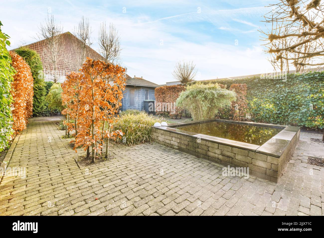 Backyard of a house with trees and green plants next to other houses ...