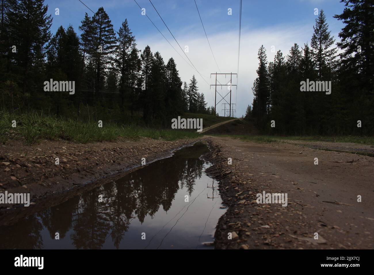 The water reflecting the electric wires hanging between the trees in ...