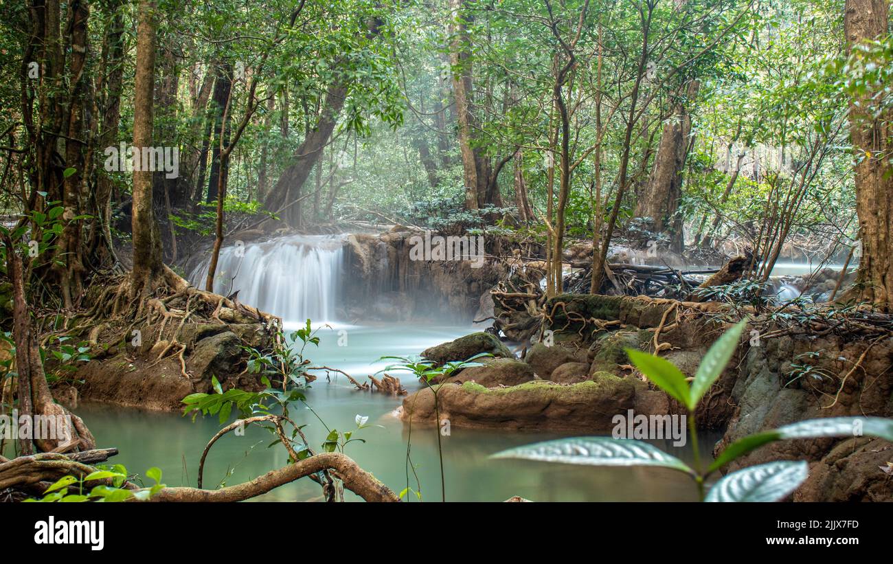 A stunning view of a waterfall against a deep forest with lots of trees ...