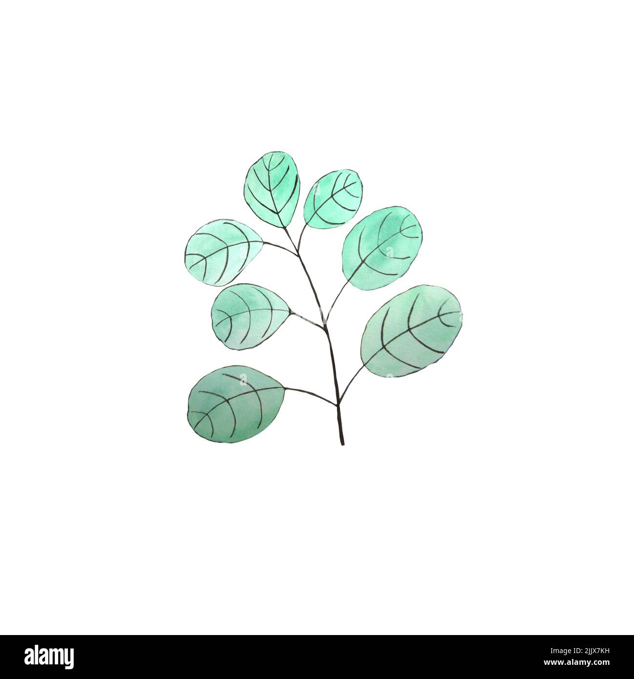 A twig of a green plant, with leaves. Ladybug. Raster illustration ...