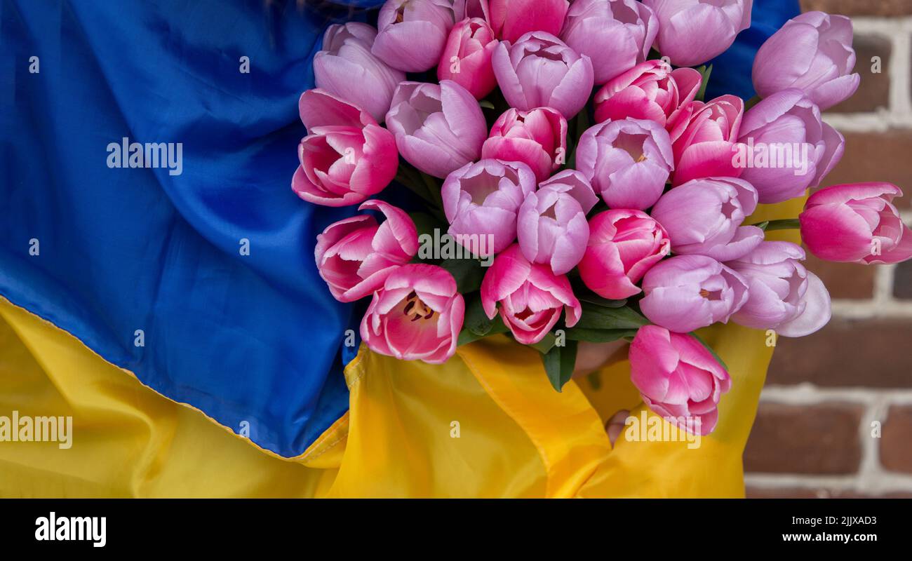 large bouquet of pink and lilac tulips with yellow - blue flags of ...
