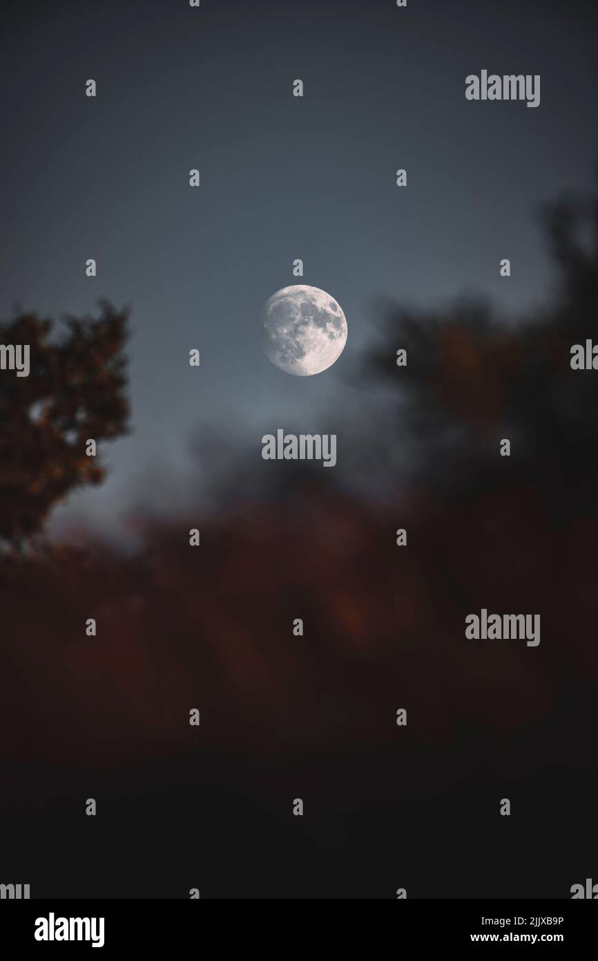 A view of the moon from the trees blurred on the foreground Stock Photo ...
