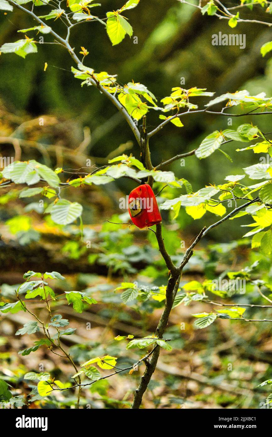 Measure meter tree hi-res stock photography and images - Alamy