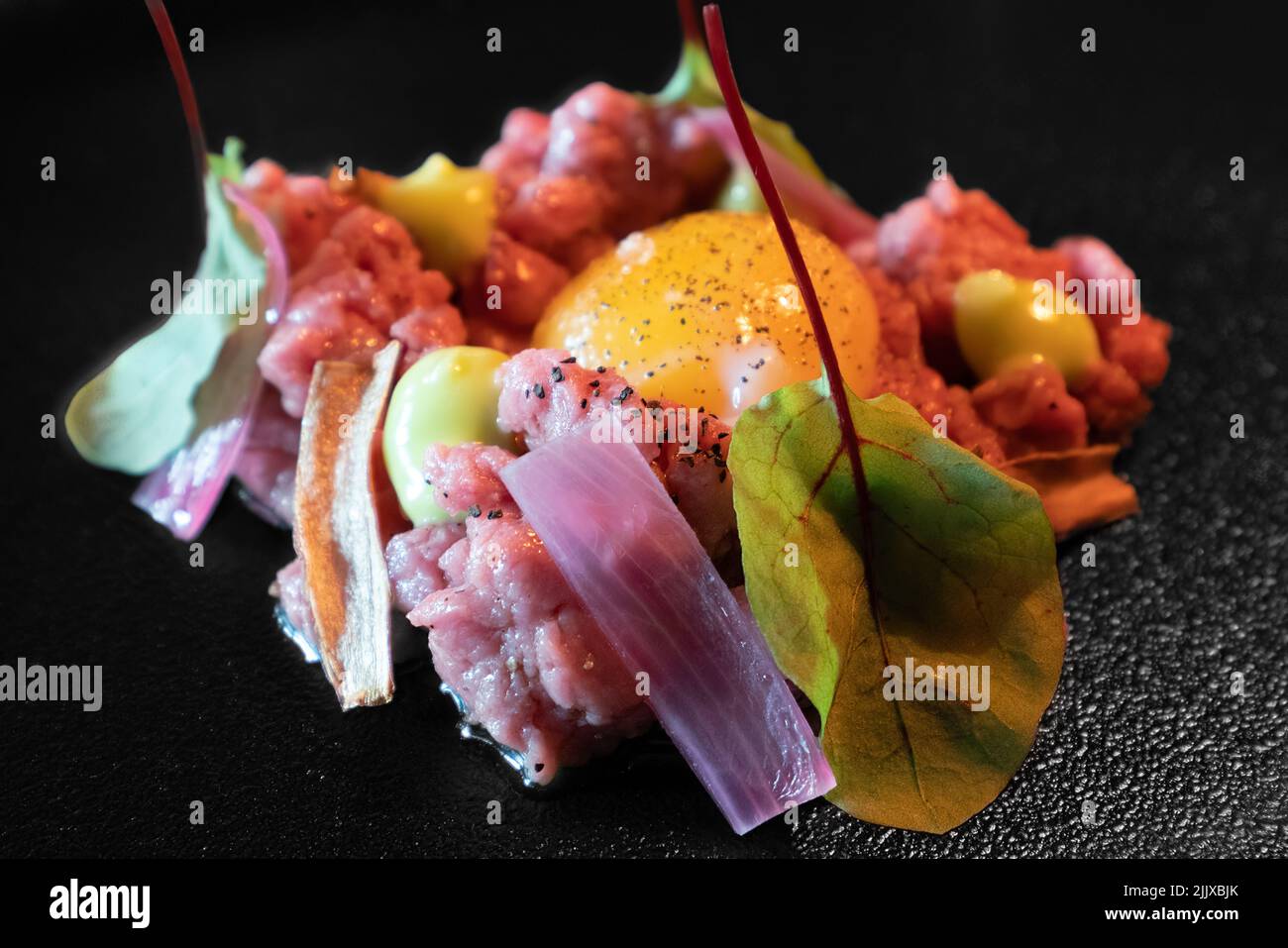 Detail shot of moose tartare with raw egg and veggies on black design ...