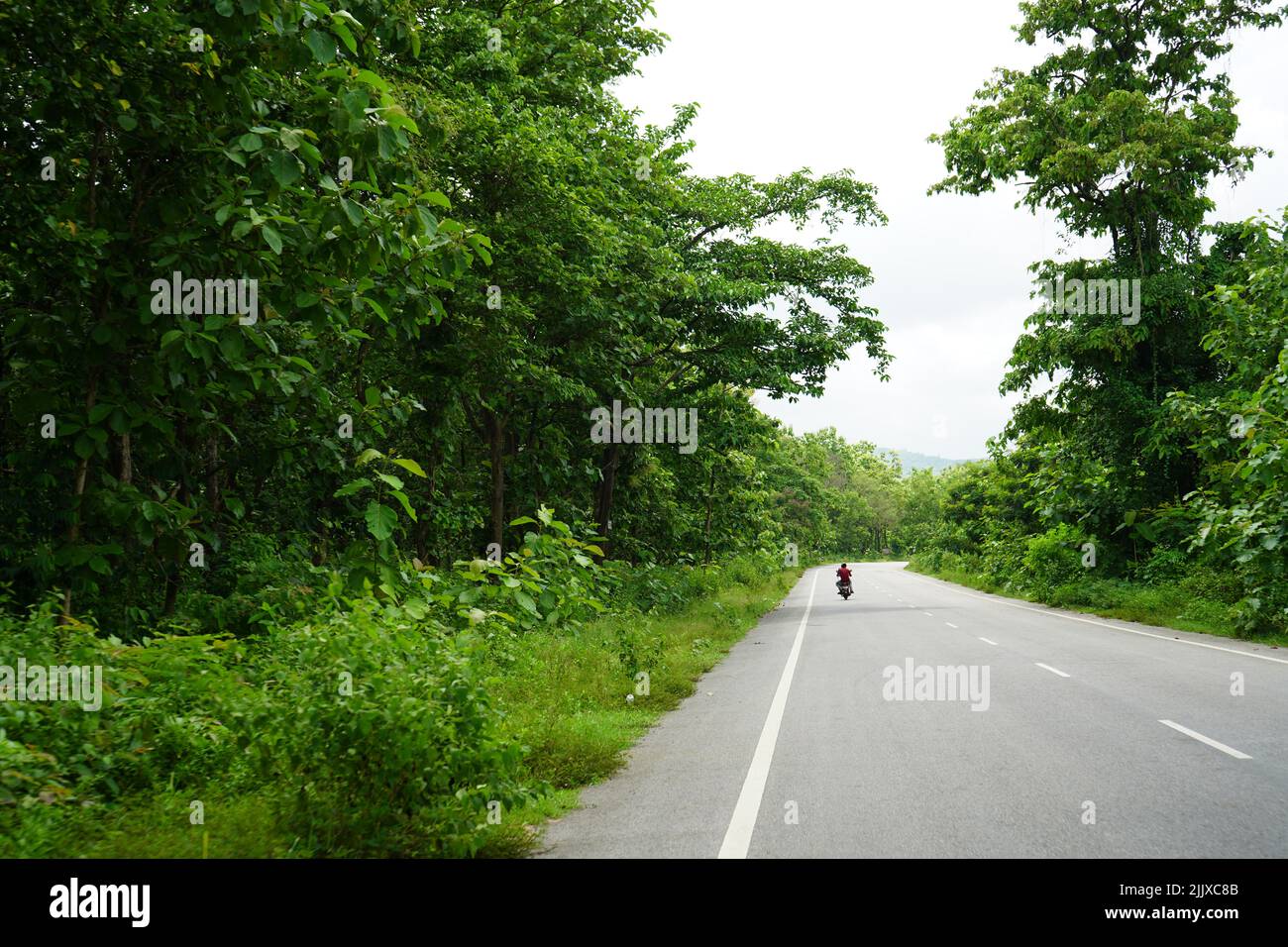 The clean village road towards Daringbadi of Odisha Stock Photo - Alamy