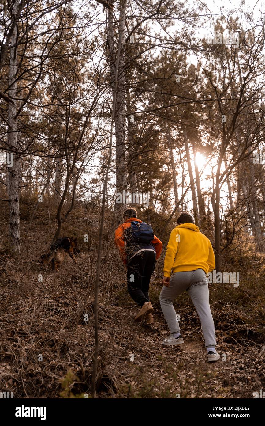 Amazing and handsome male friends are hiking with the dog in the forest ...