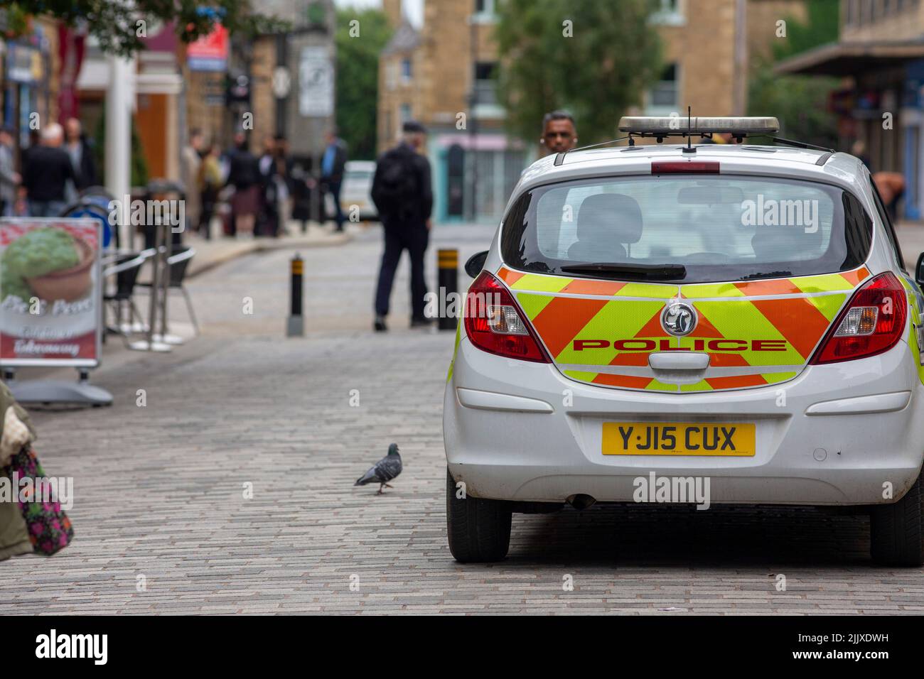Scruffy pigeons hi-res stock photography and images - Alamy