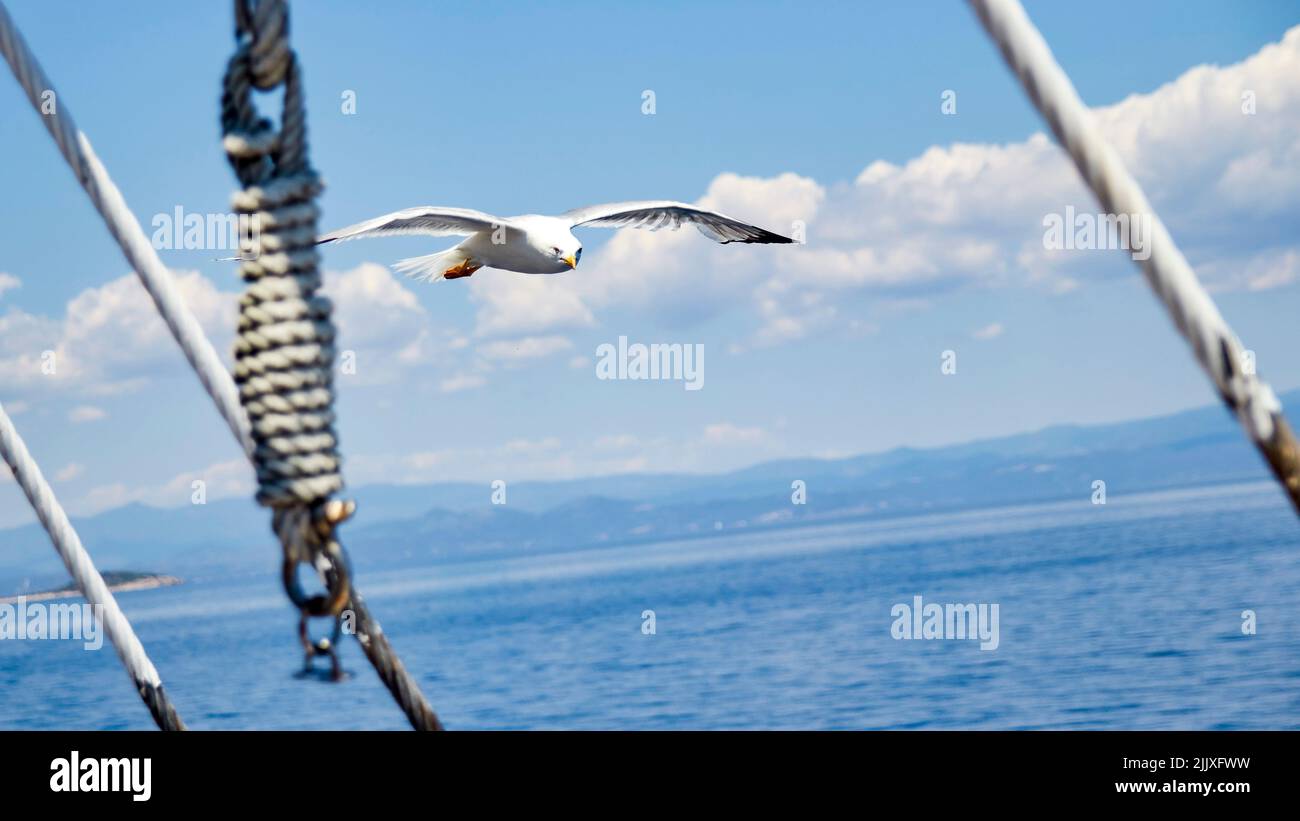 Flight deck sunset hi-res stock photography and images - Alamy