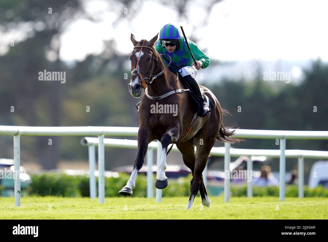 Galway races 2022 hi-res stock photography and images - Alamy