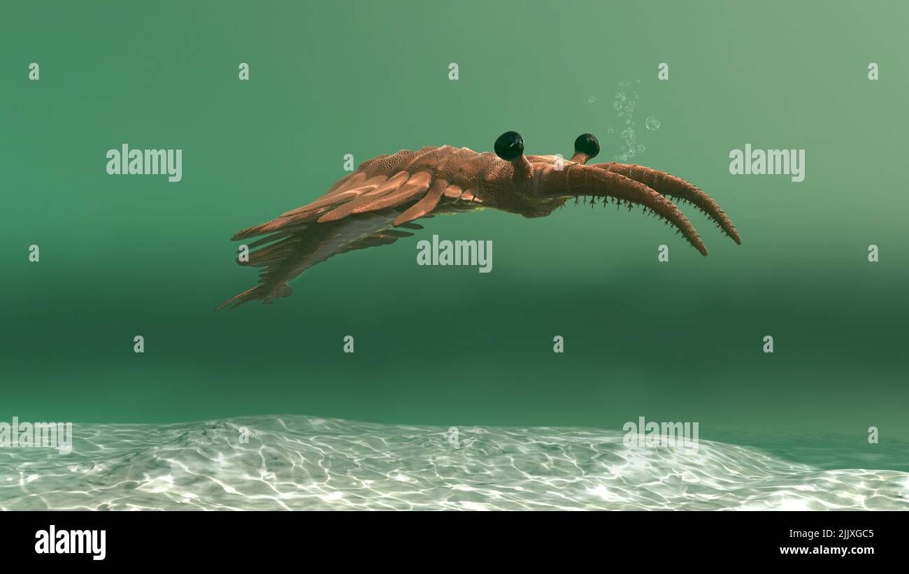 Anomalocaris in the sea Stock Photo - Alamy
