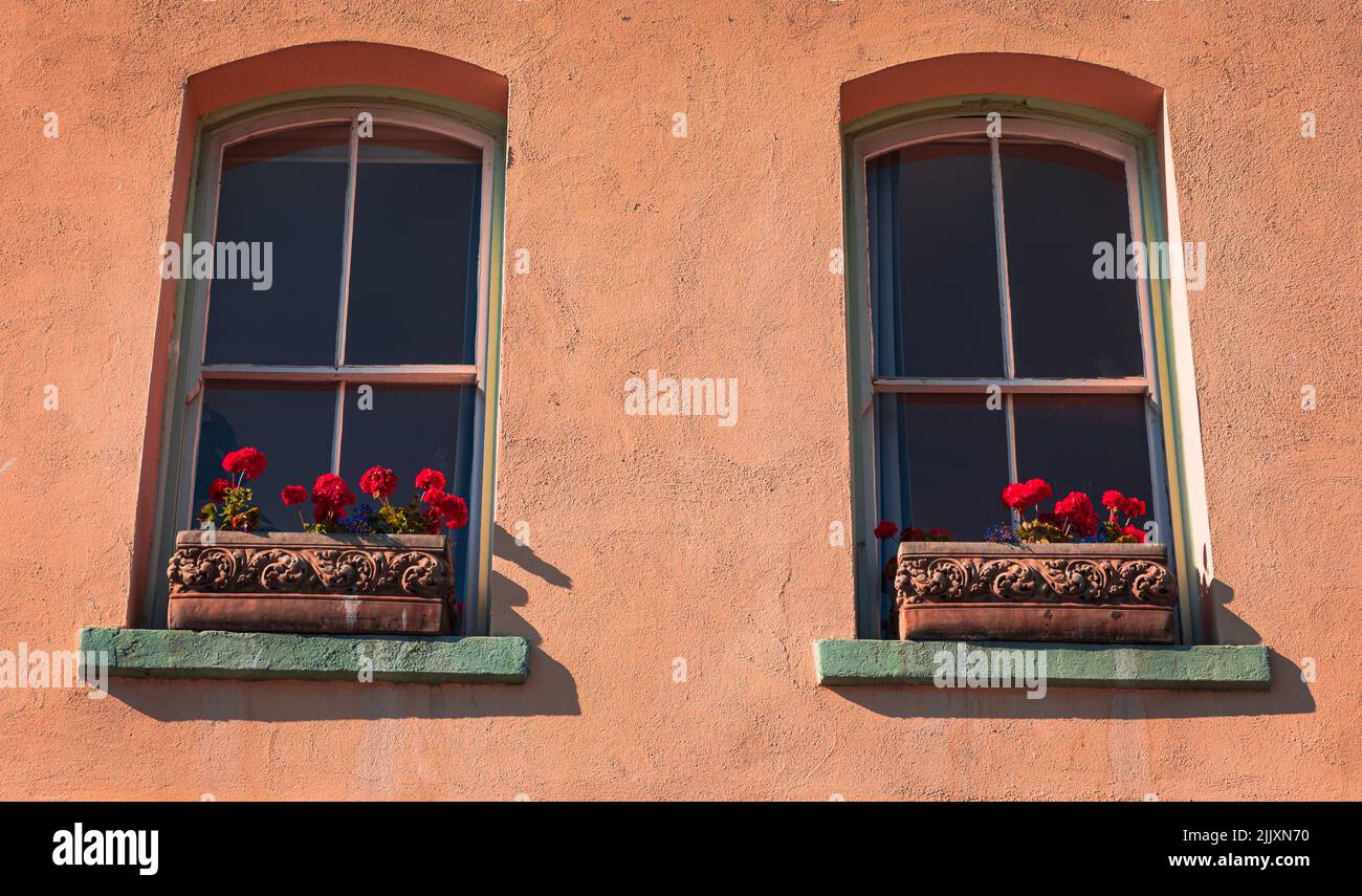 Two window on pink cement concrete wall decorated with flowers in box ...