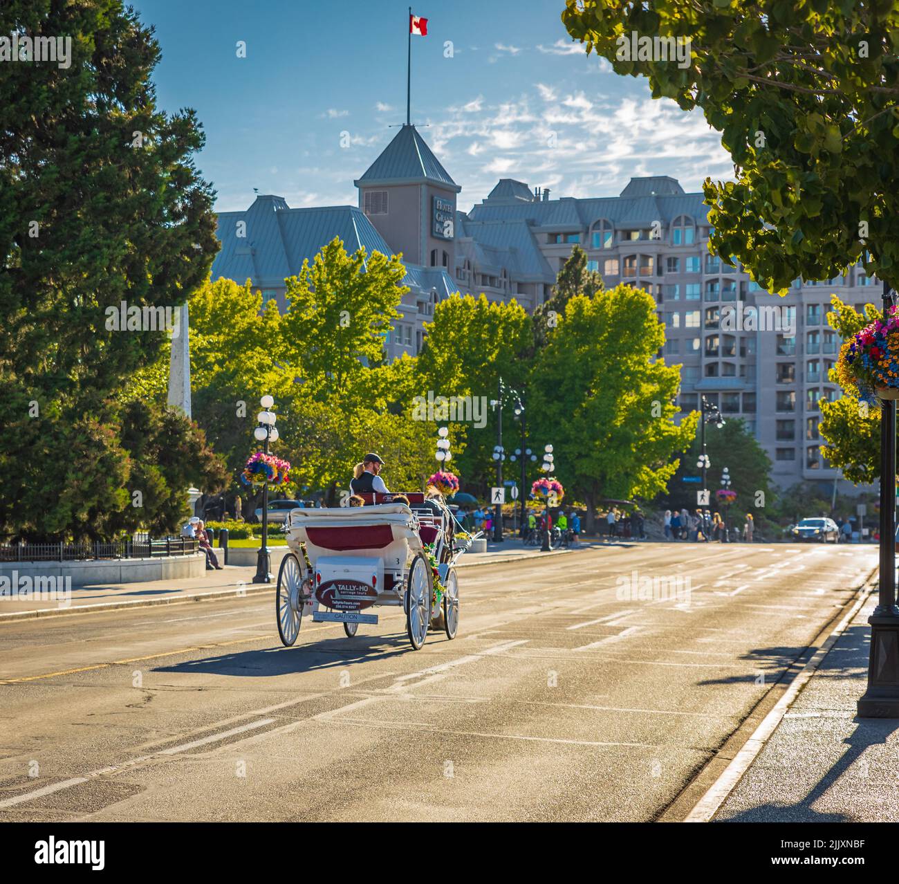 Carriage Ride In Victoria BC Canada at sunset. A horse drawn carriage ...