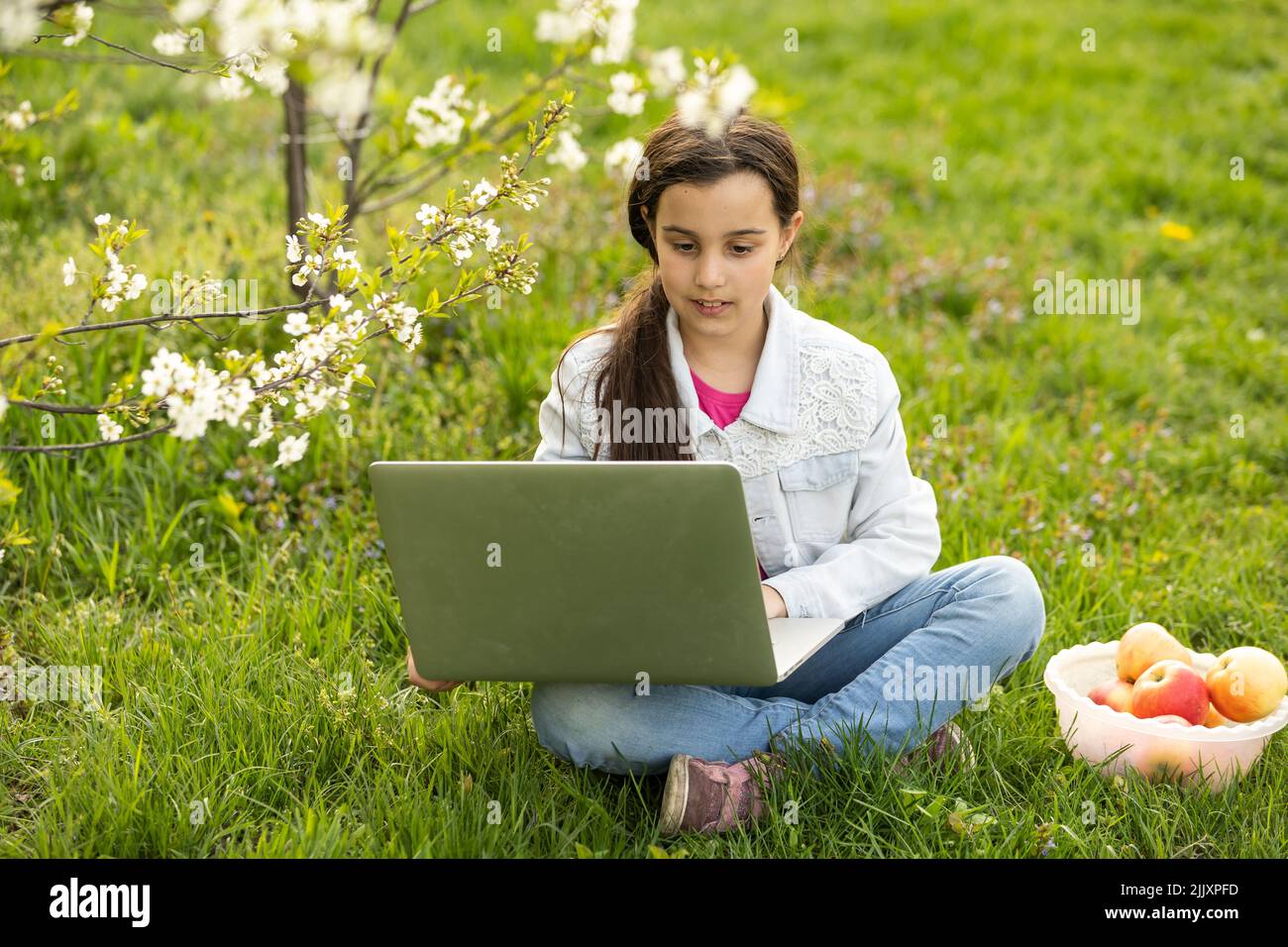 Little girl using laptop computer in a backyard. Child studying at home ...