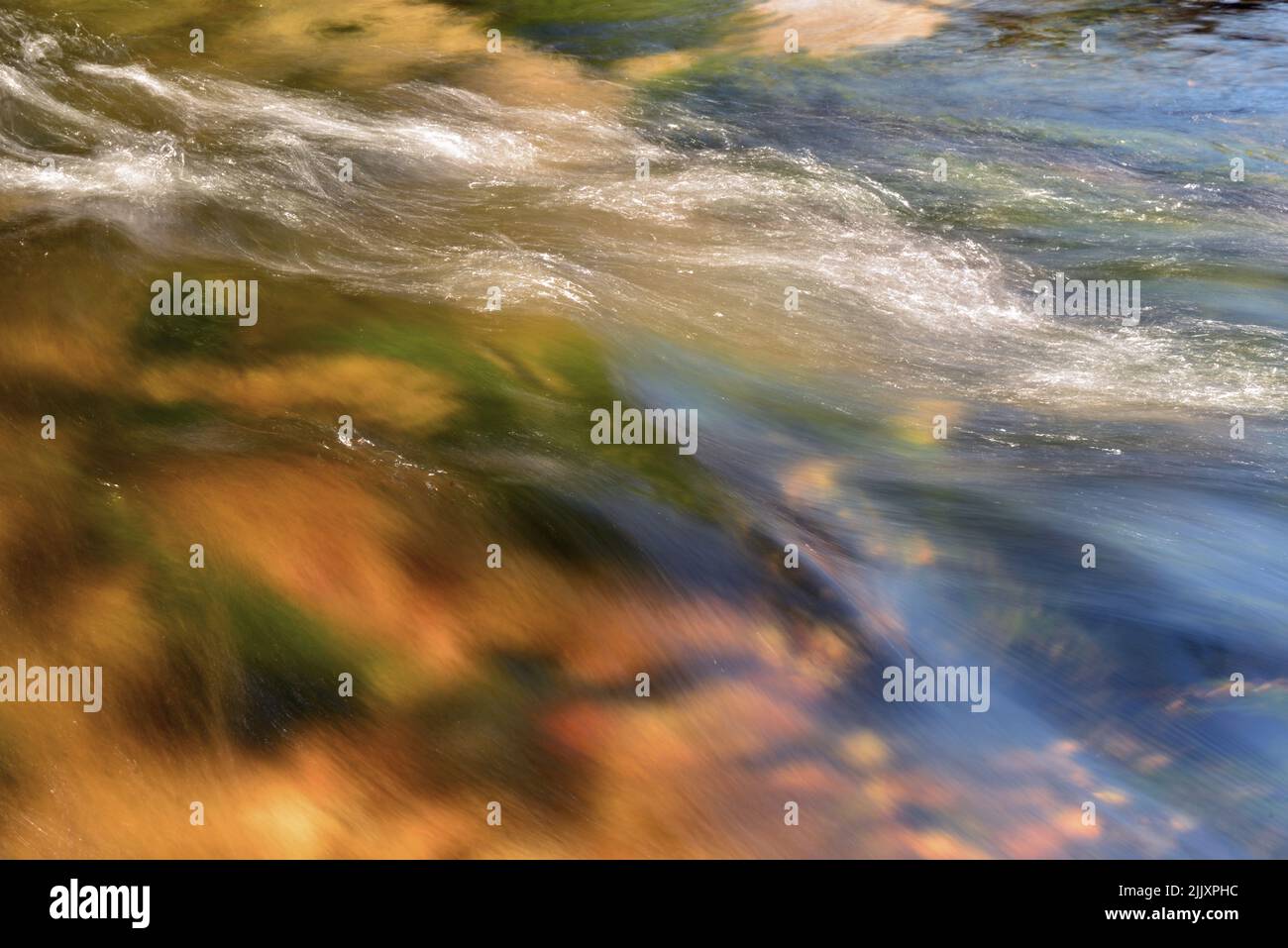 Water flowing between rocks and aquatic vegetation Stock Photo - Alamy