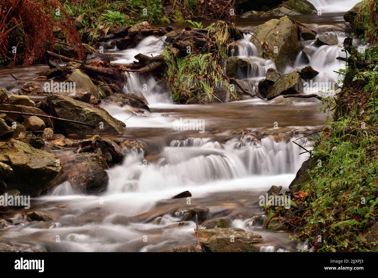 Crystal clear mountain stream water Stock Photo - Alamy