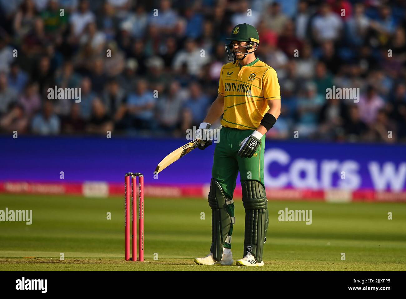 Tristan Stubbs of South Africa at the wicket Stock Photo - Alamy