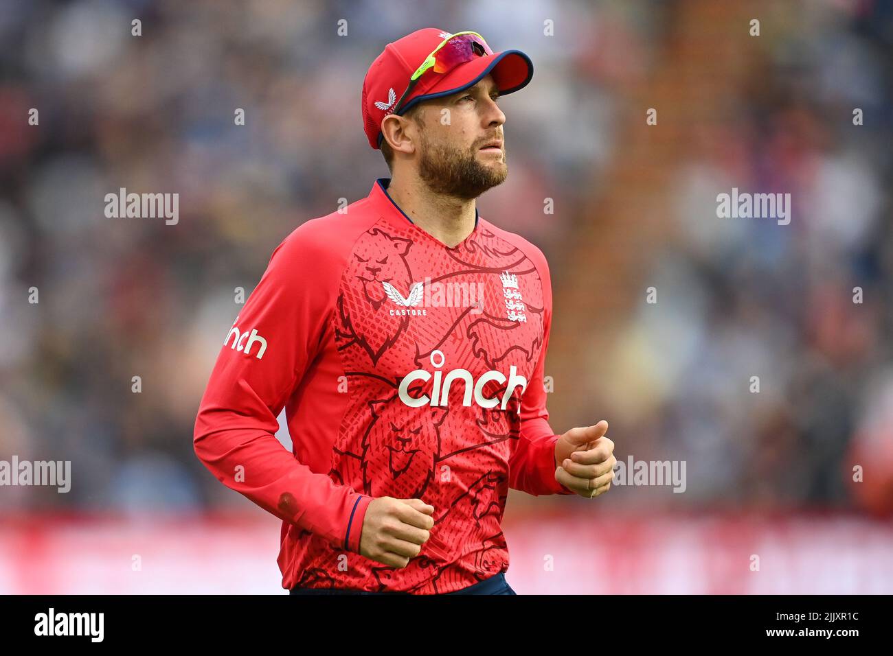 Malan hi-res stock photography and images - Alamy