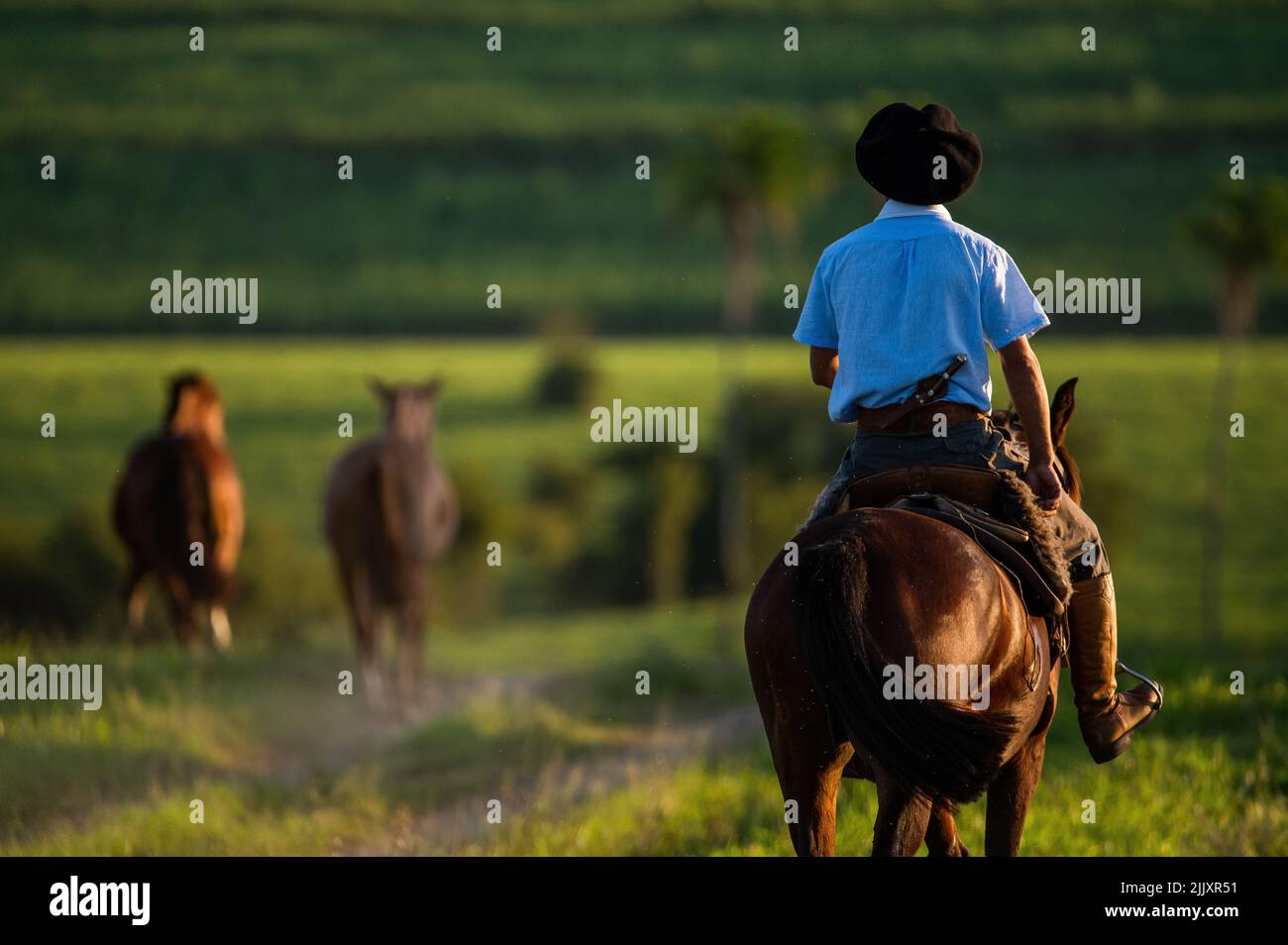 A back view of a gaucho riding a horse in the countryside Stock Photo ...