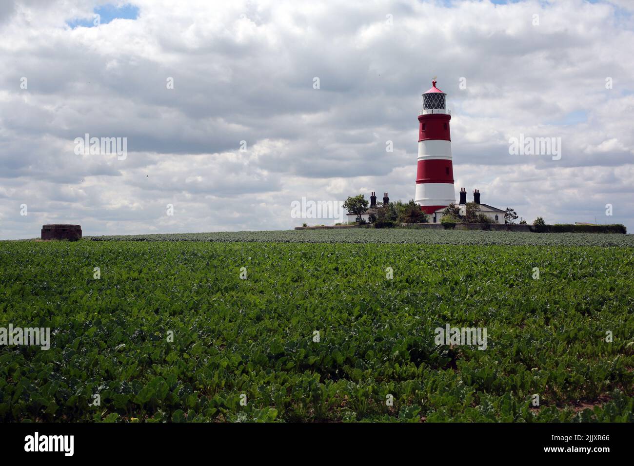 red and white candy striped lighthouse Stock Photo - Alamy