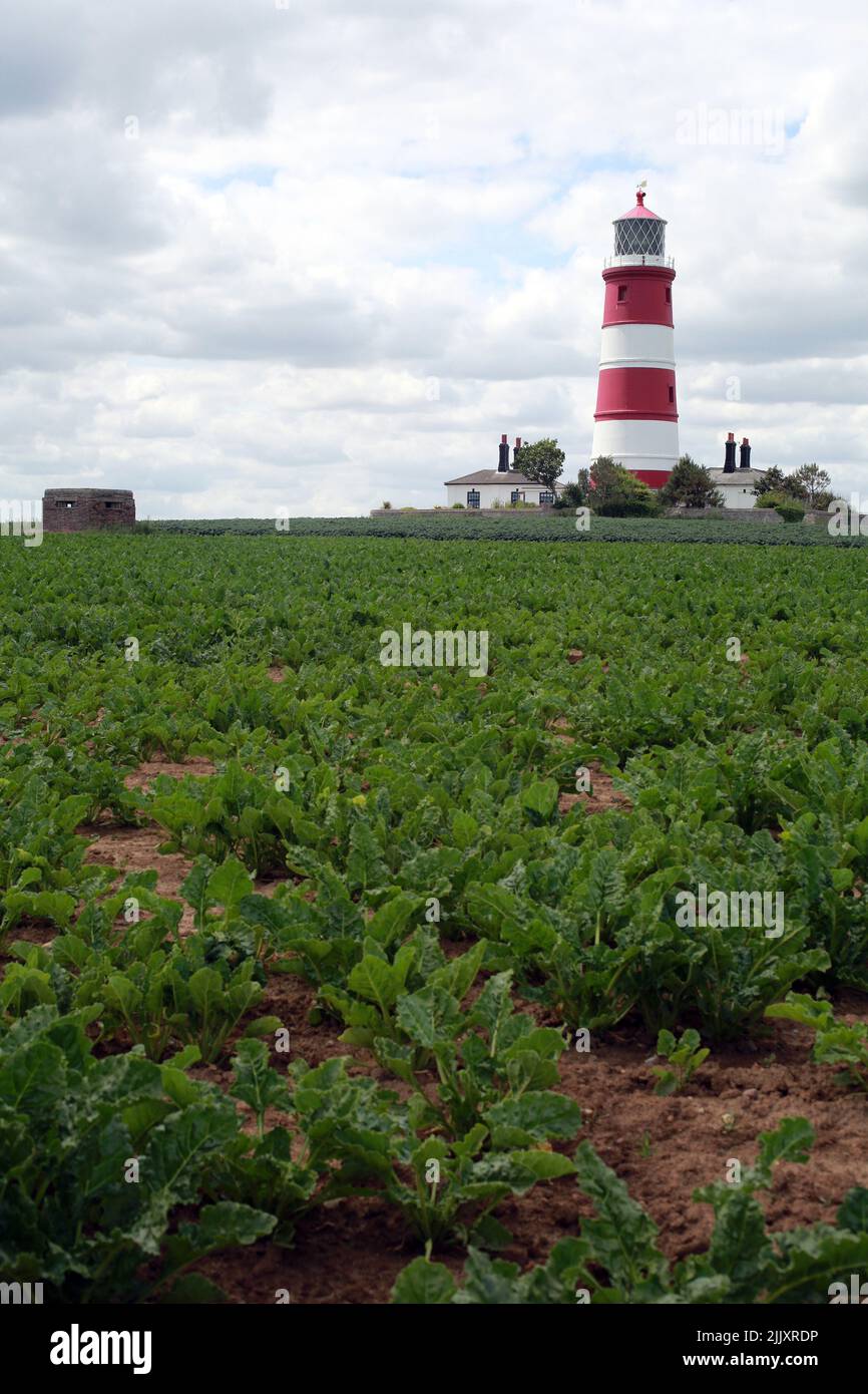 red and white candy striped lighthouse Stock Photo - Alamy