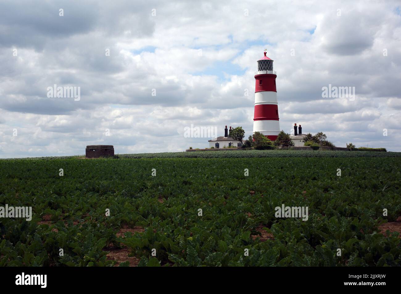 Candy striped lighthouse hi-res stock photography and images - Alamy