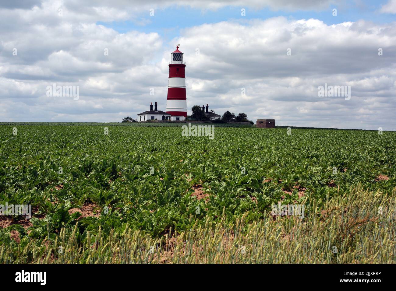 red and white candy striped lighthouse Stock Photo - Alamy