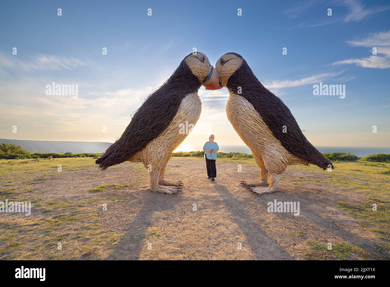 Puffins Jersey Two large woven puffins have been unveiled in Jersey ... Puffins Jersey Two large woven puffins have been unveiled in Jersey ...