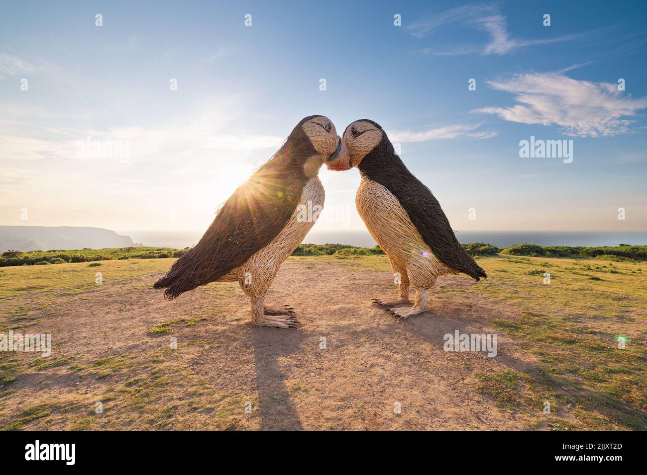 Puffins Jersey Two large woven puffins have been unveiled in Jersey ... Puffins Jersey Two large woven puffins have been unveiled in Jersey ...