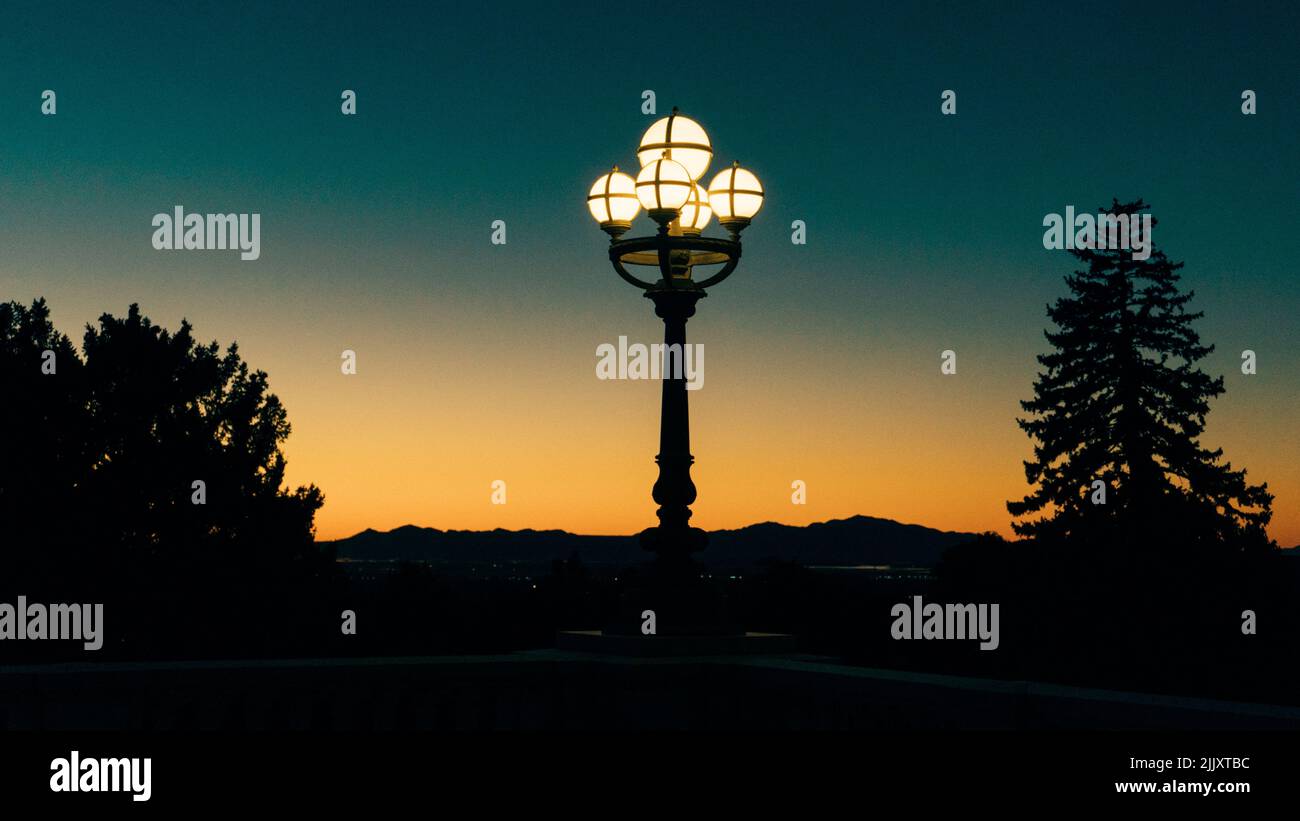 A view of a beautiful lamp and silhouettes of trees at the sunset Stock ...