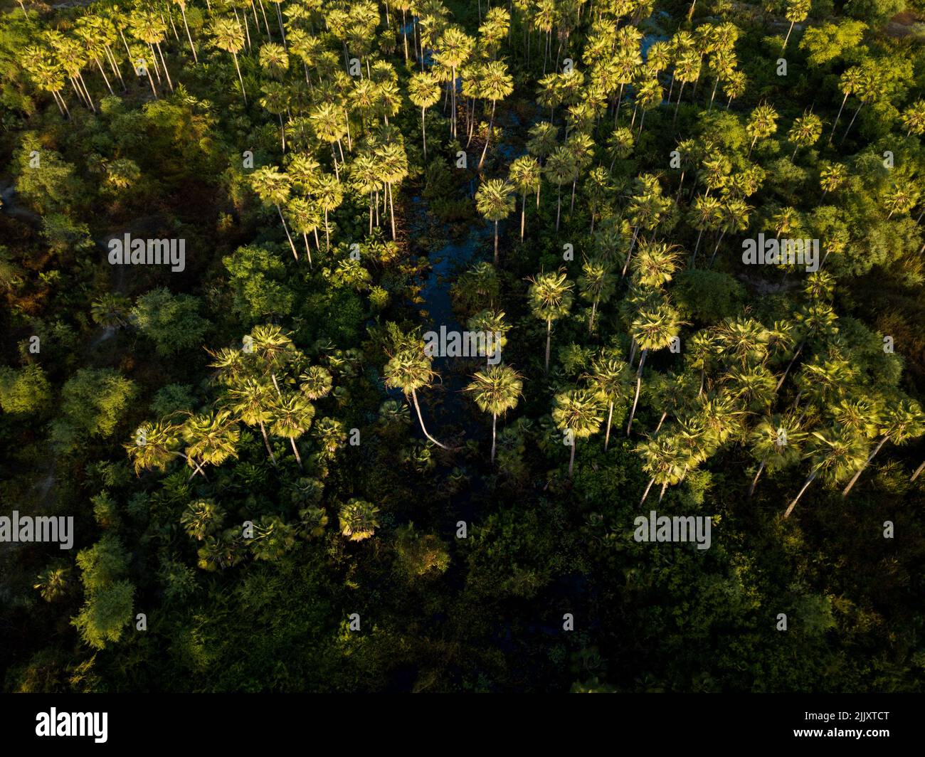 Aereal drone hi-res stock photography and images - Alamy
