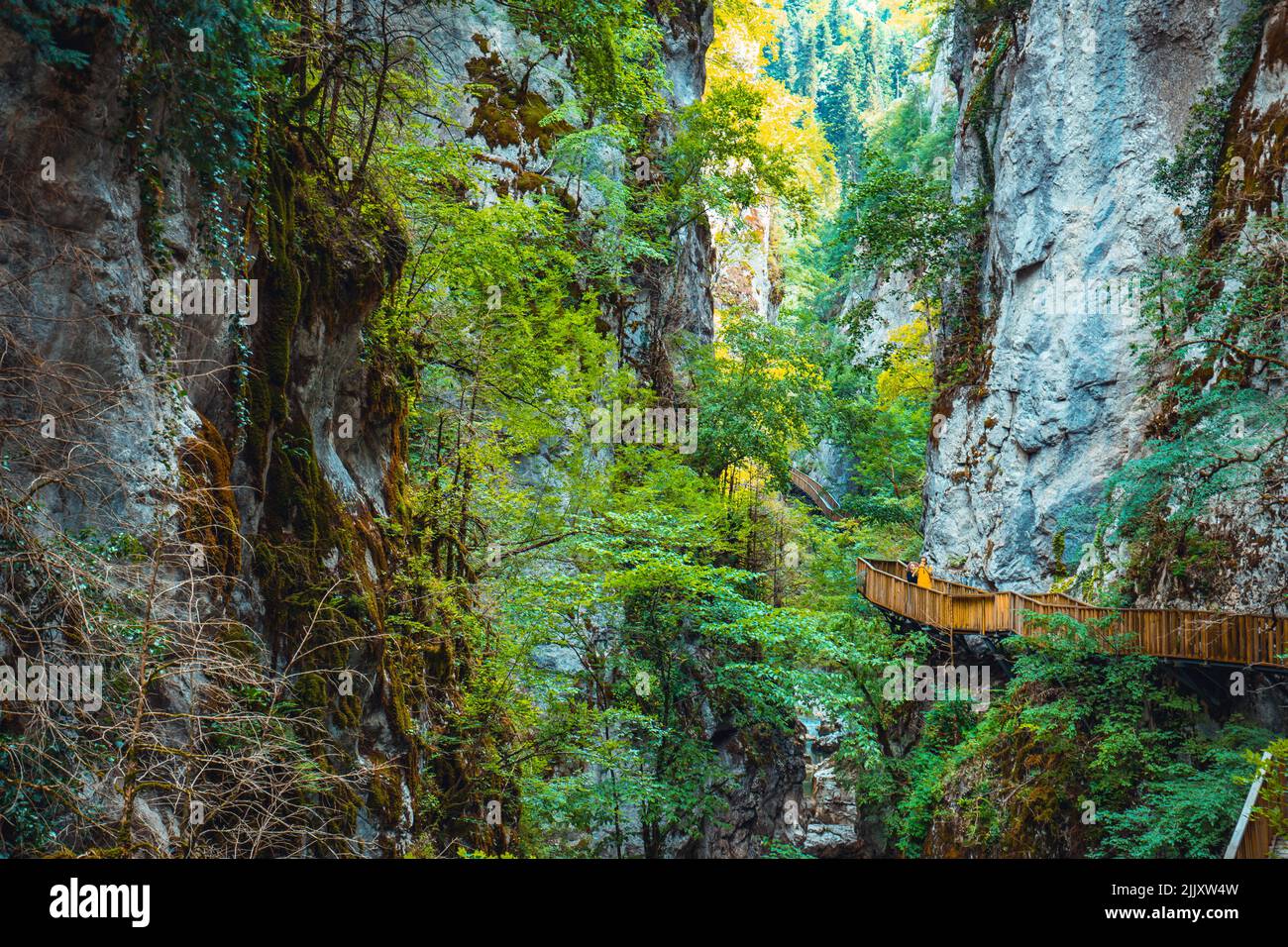 Horma Canyon. Kure Mountains National Park. Horma Canyon hiking trail ...