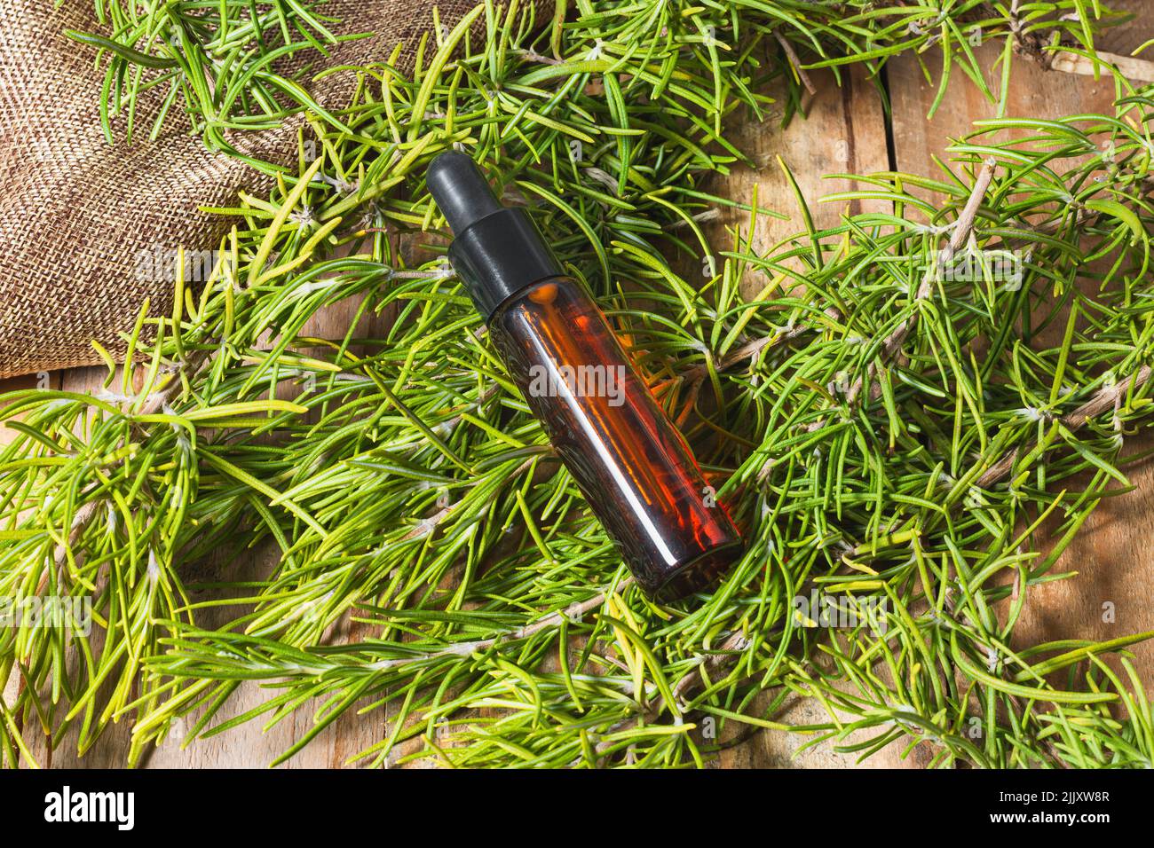 Surrounded by rosemary branches is a brown glass bottle with essential ...