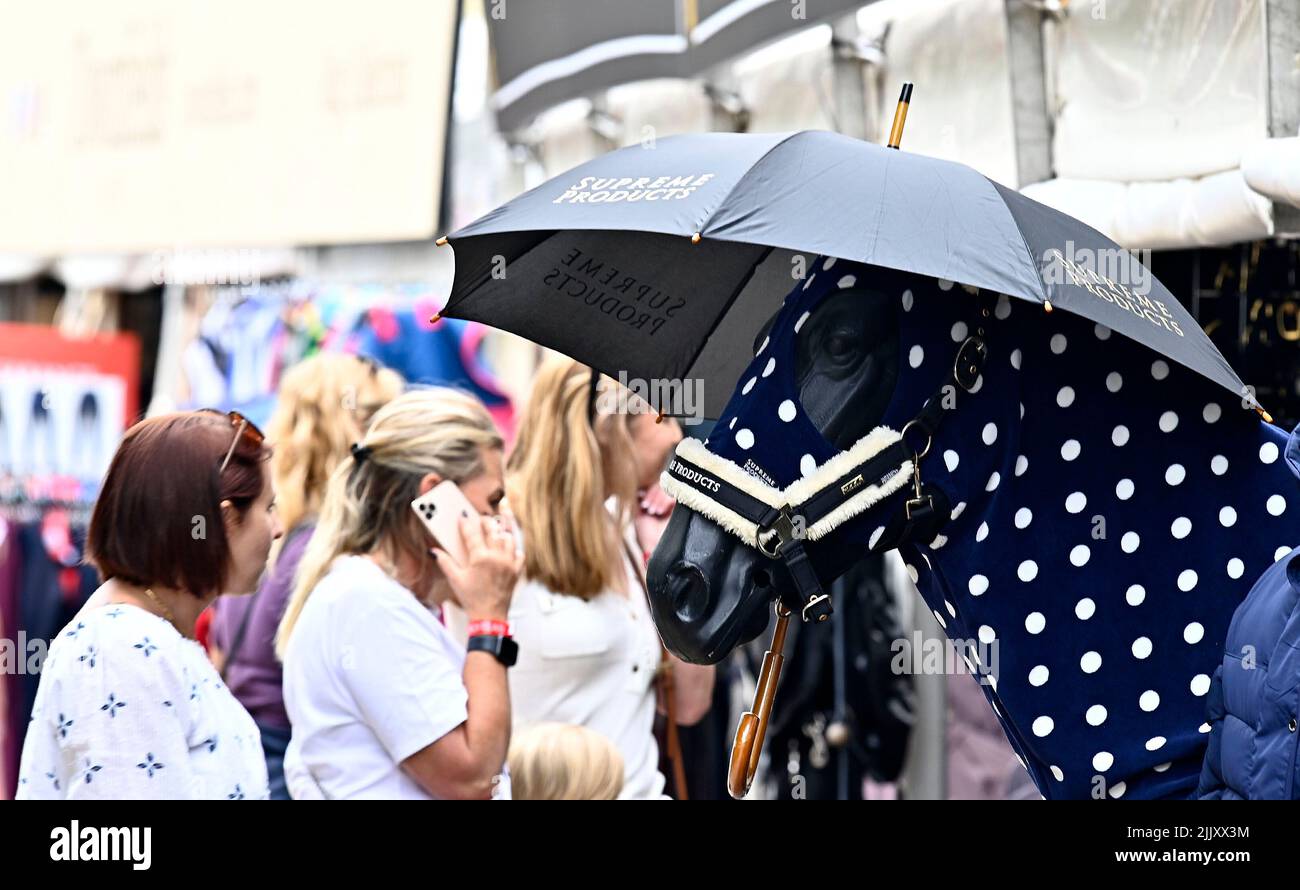 Hassocks, United Kingdom. 28th July, 2022. The Longines Royal ...