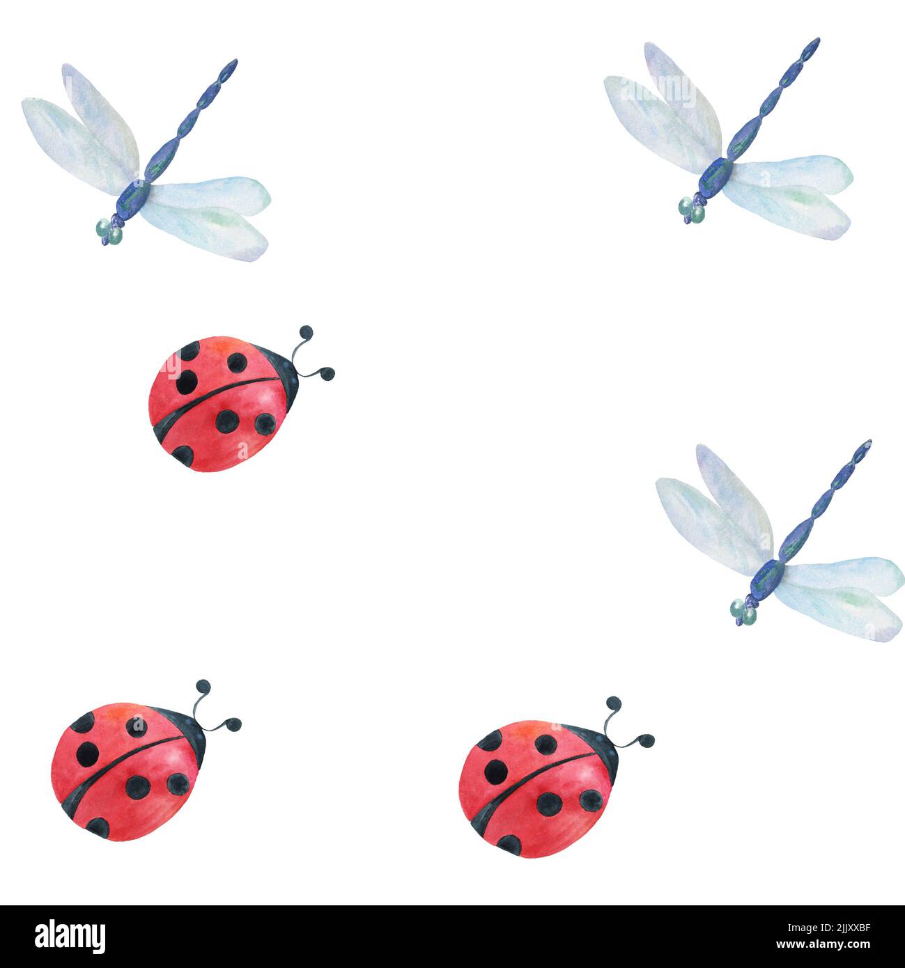 Insects - flying dragonflies and ladybugs.White isolated background ...