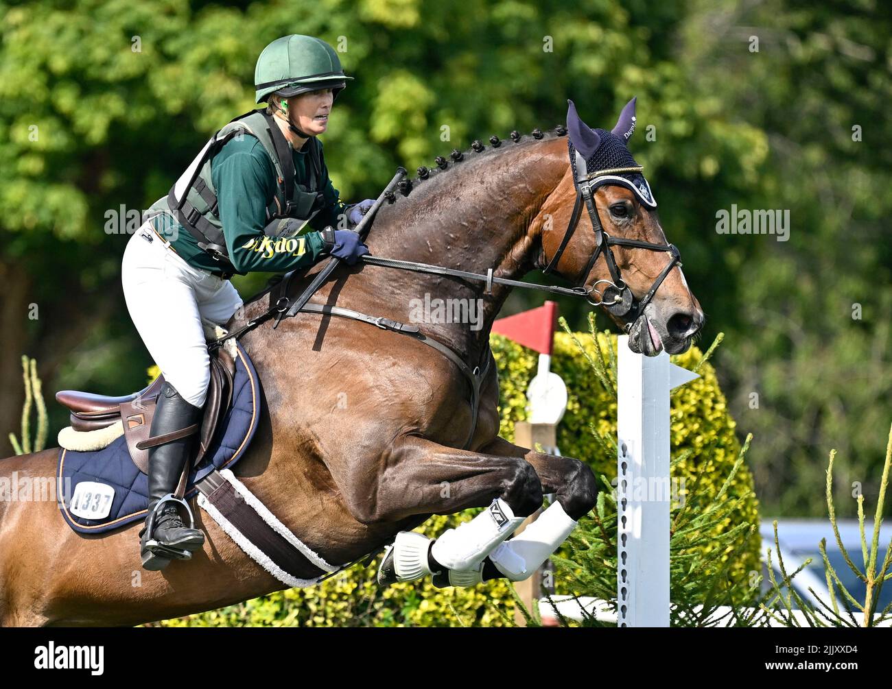 Heidi Hamilton Biography