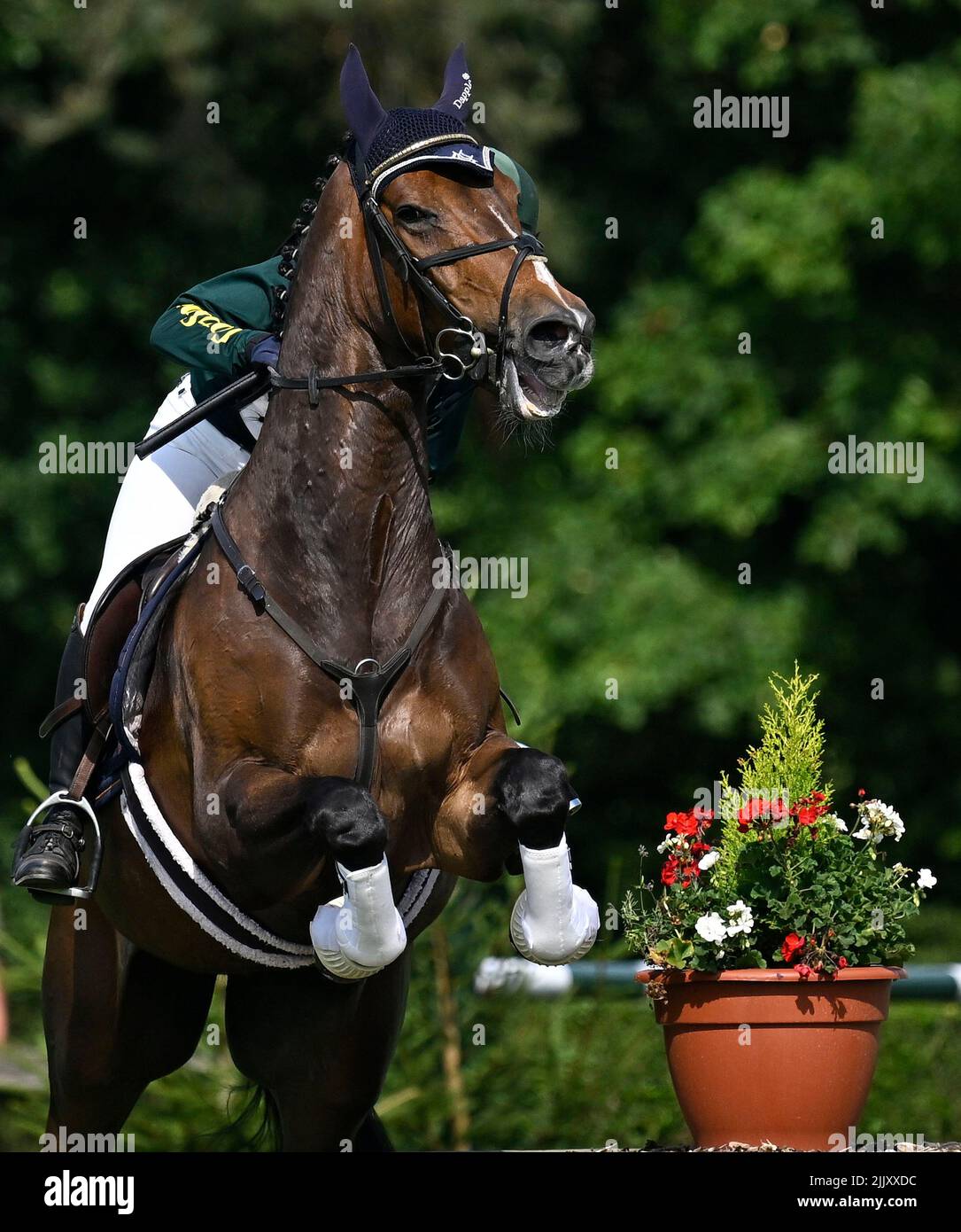 Hassocks, United Kingdom. 28th July, 2022. The Longines Royal ...