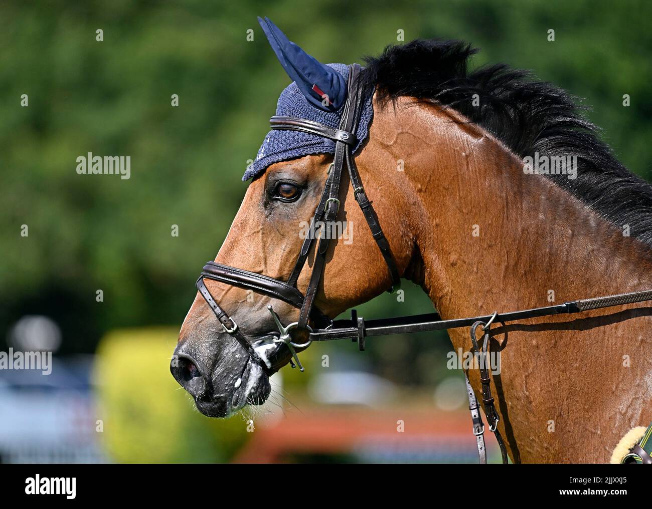 Hassocks, United Kingdom. 28th July, 2022. The Longines Royal ...