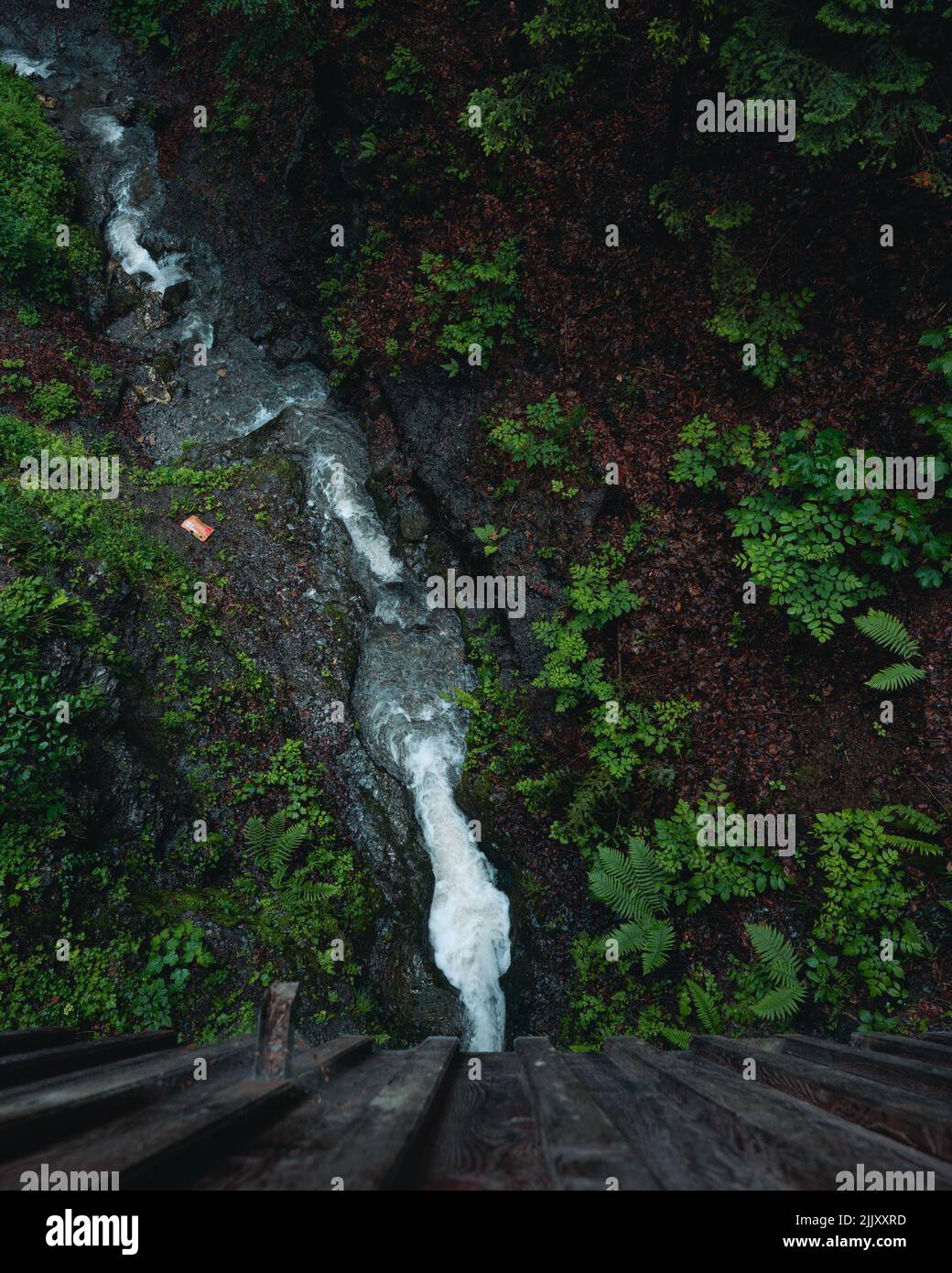 A vertical shot of a flowing water with a stream in forest Stock Photo ...