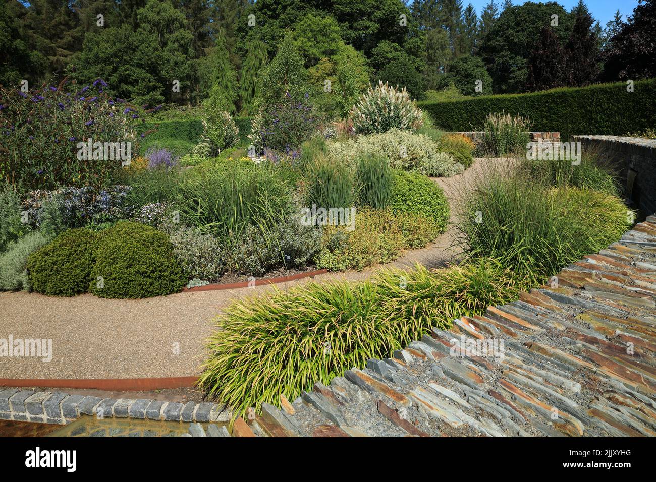 RHS Rosemoor "Cool Garden", North Devon, England, UK Stock Photo - Alamy