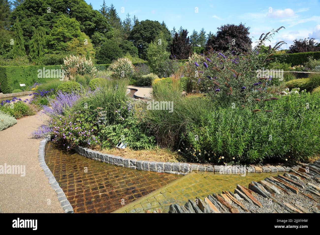RHS Rosemoor "Cool Garden", North Devon, England, UK Stock Photo - Alamy