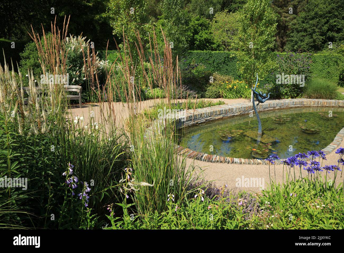 RHS Rosemoor "Cool Garden", North Devon, England, UK Stock Photo - Alamy