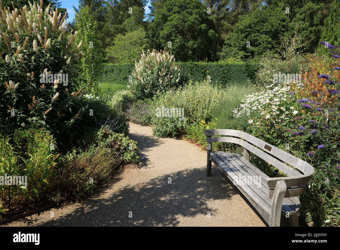RHS Rosemoor "Cool Garden", North Devon, England, UK Stock Photo - Alamy