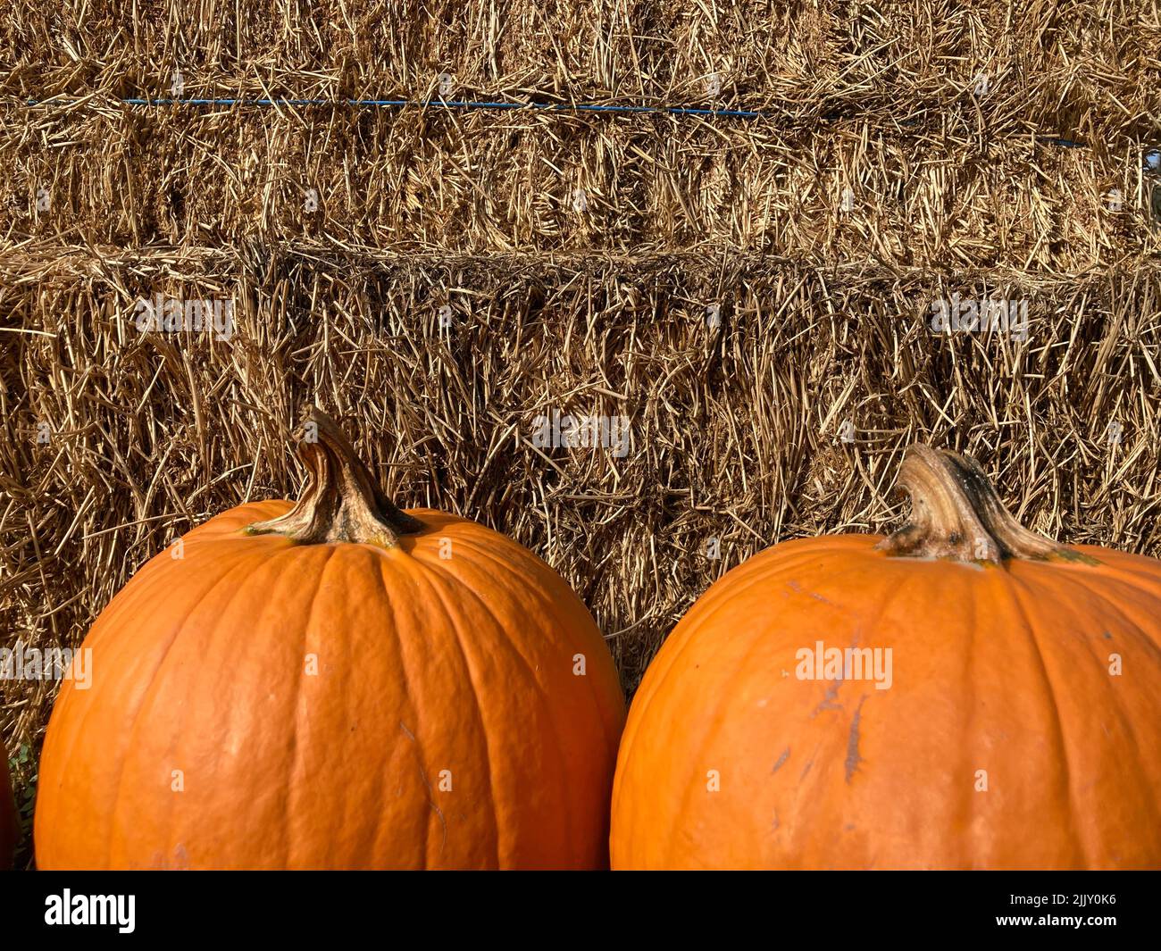 Hay texture hi-res stock photography and images - Alamy