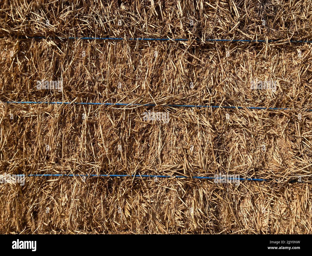 Hay texture background Stock Photo - Alamy