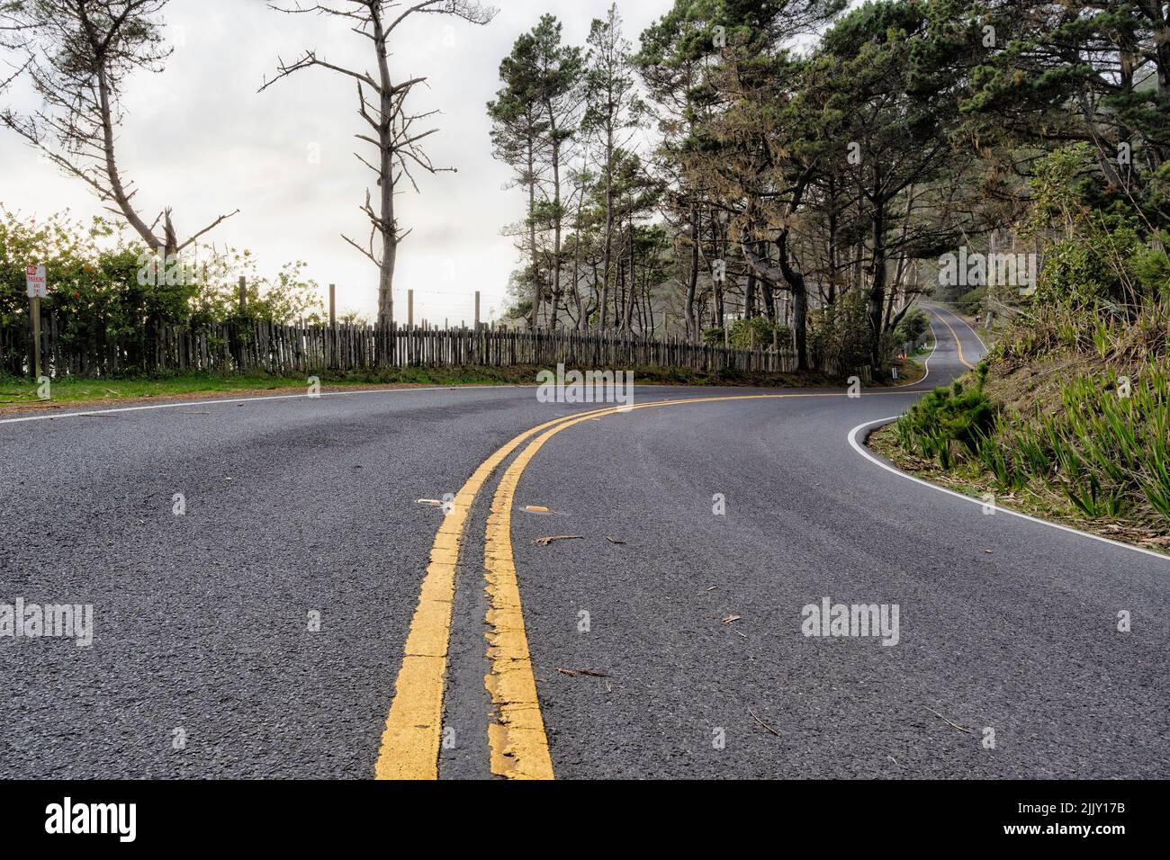 The yellow line and divided road of highway 1 in northern california ...