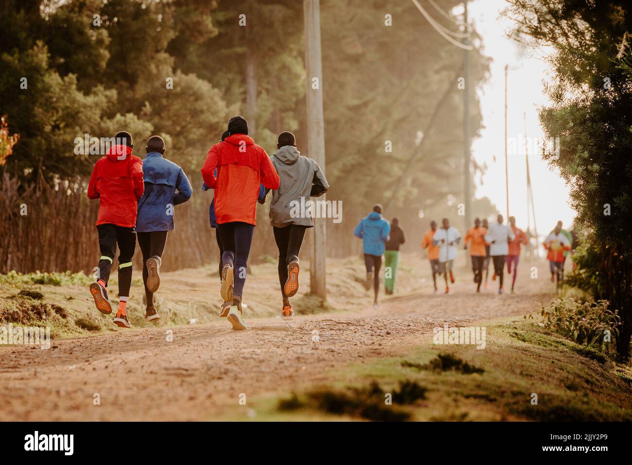 Group training in Kenya. A large group of Kenyan runners are preparing ...