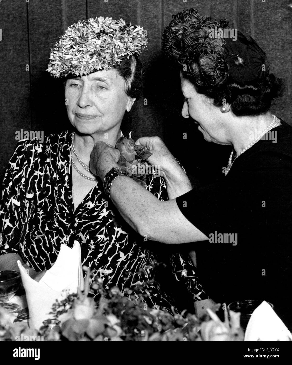 Polly adams hi-res stock photography and images - Alamy